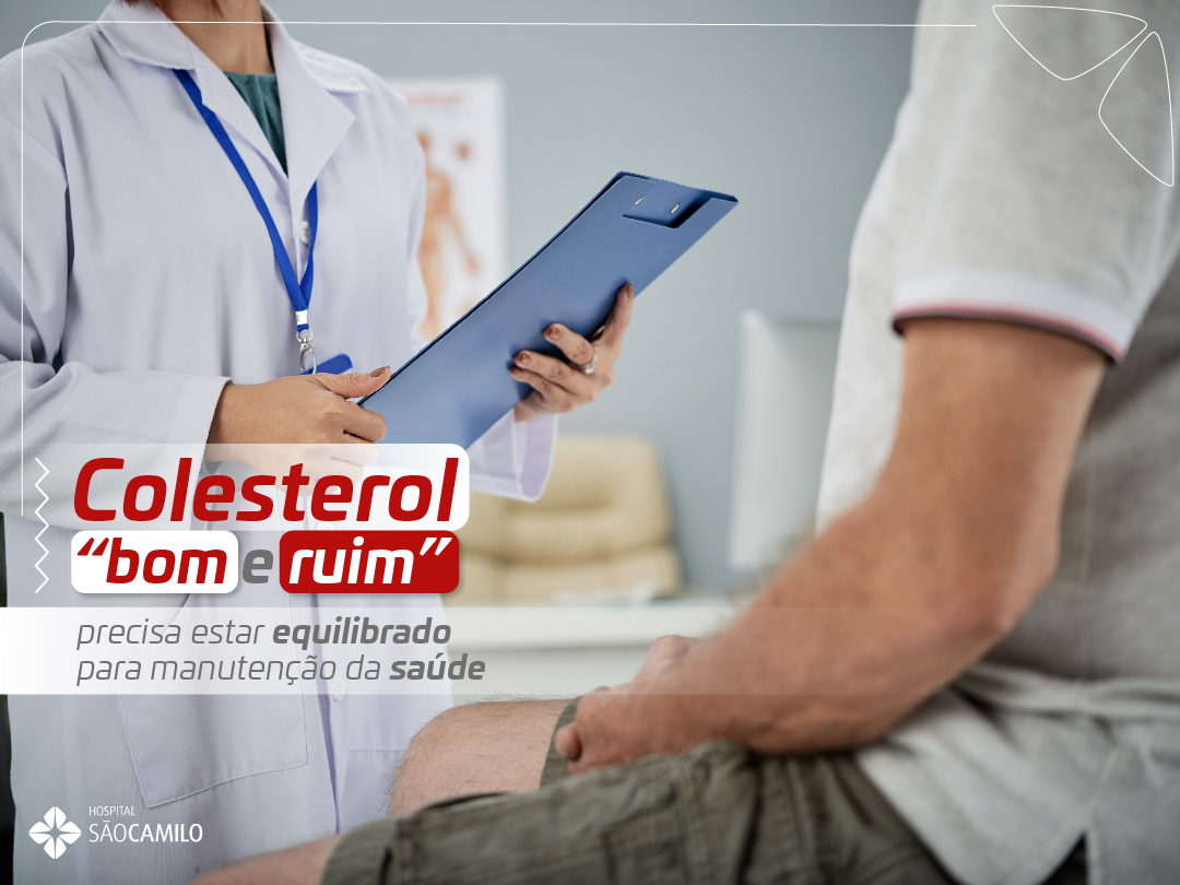 Colesterol “bom e ruim” precisa estar equilibrado para manutenção da ...